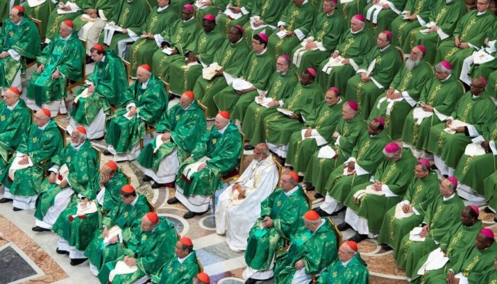 What is Synodality? - Omnes