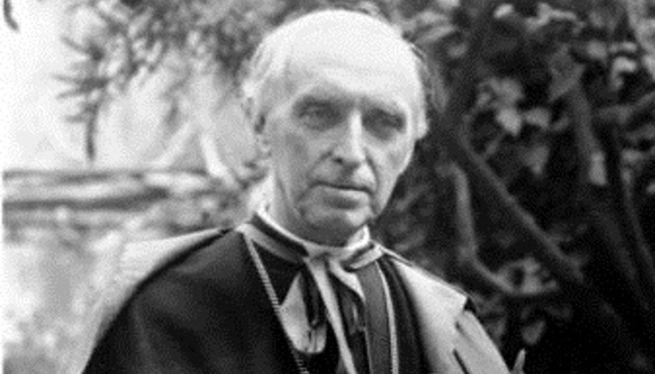 The works of Cardinal Mercier - Omnes