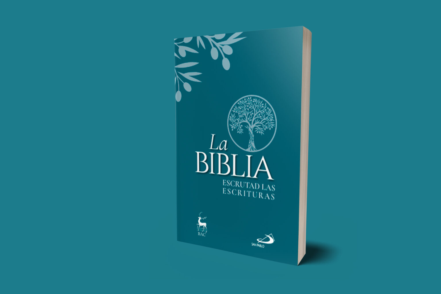 The Bible, search the scriptures