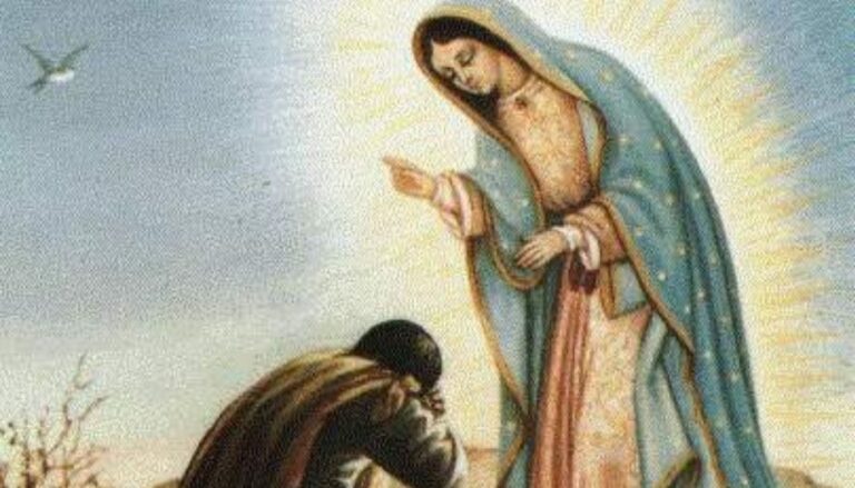 The tilma of the Virgin of Guadalupe