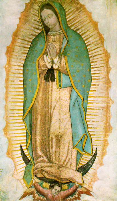 The tilma of the Virgin of Guadalupe